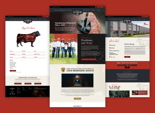 Website Development | WeCreate